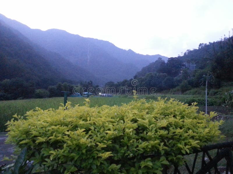 Beautiful Morning, Rishikesh Stock Image - Image of flowing, beautiful ...