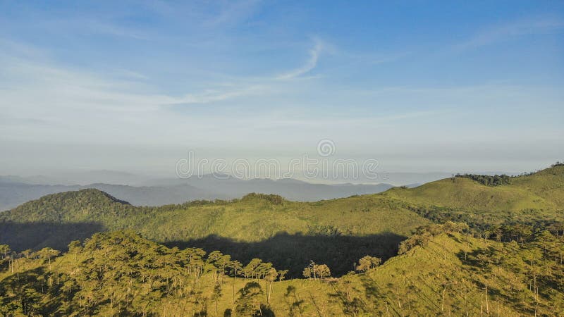 Beautiful Morning Scene in the Forest with Sun Rays and Long Shadows ...