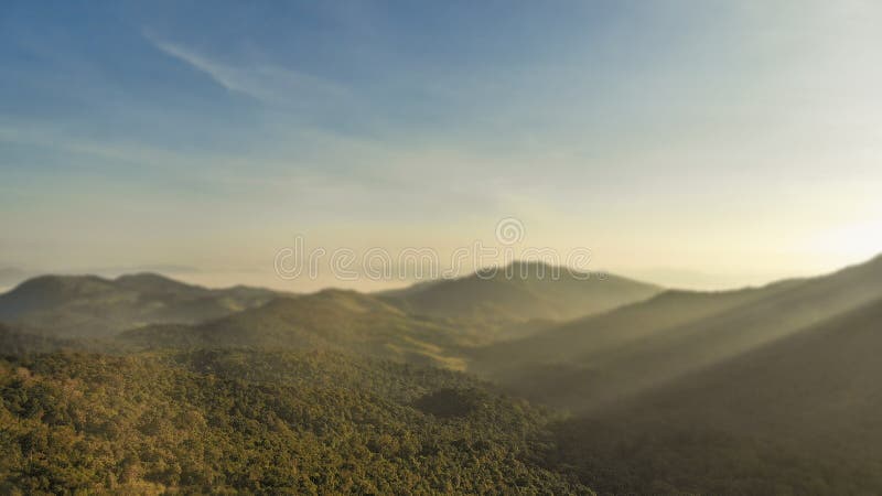 Beautiful Morning Scene in the Forest with Sun Rays and Long Shadows ...