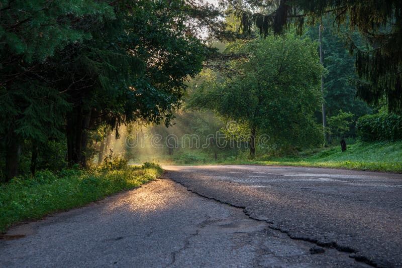 Beautiful Morning Sun Light Shining through the Trees on the Road, Sun ...