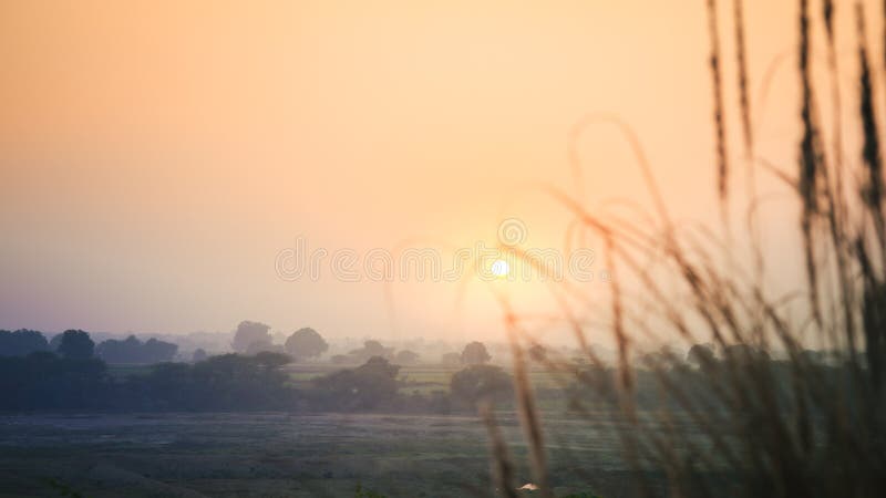 Sun is Rising Behind the Wheat Field. Sun in Focus Stock Image - Image ...