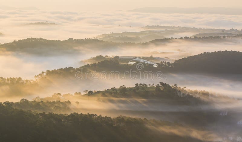 Beautiful Morning with Sunray through the Trees Stock Photo - Image of ...