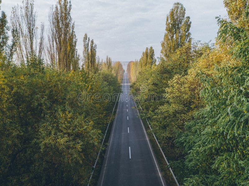 Beautiful Morning Sunrise Over the Asphalt Road Stock Photo - Image of ...