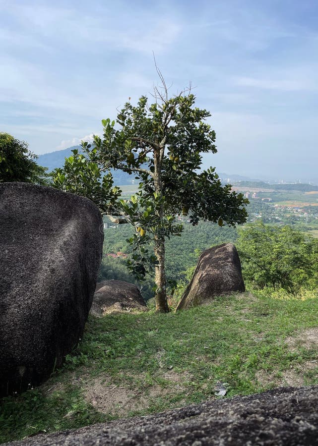 Beautiful Morning View from Hillside Stock Image - Image of tree ...