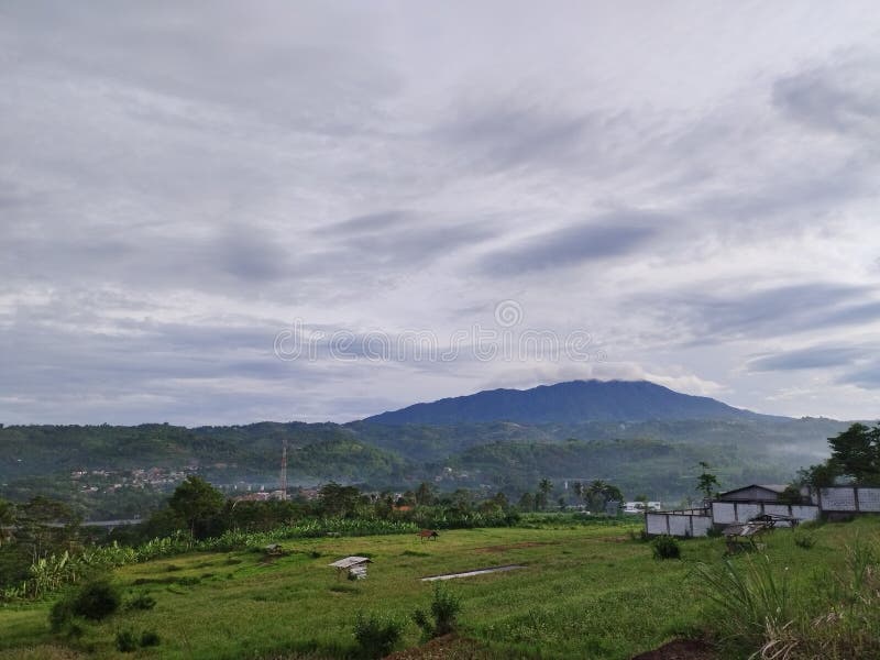 Beautiful Morning View of Rice Fields and Mount Burangrang, Bandung ...