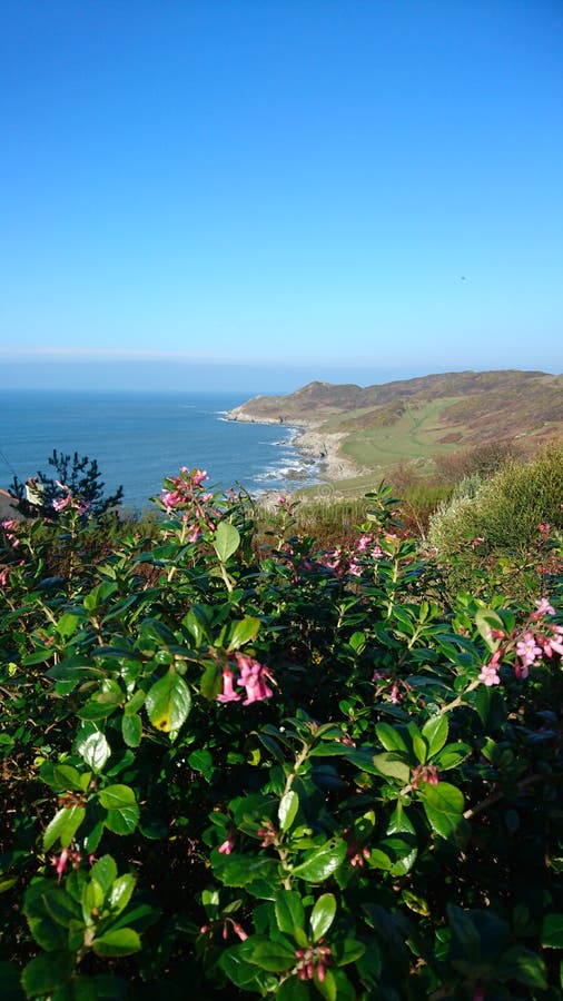 Mortehoe Bathed Stock Photos - Free & Royalty-Free Stock Photos from ...