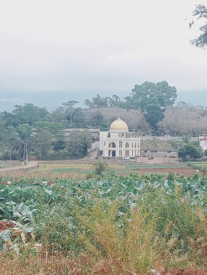 A Beautiful Mosque Stand among the Plants Growing in the Countryside ...