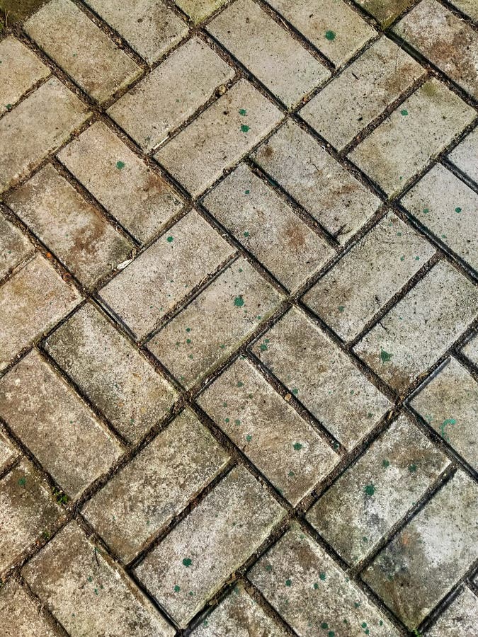 Beautiful Motifs on Paving Blocks Stock Image - Image of motifs, paving ...
