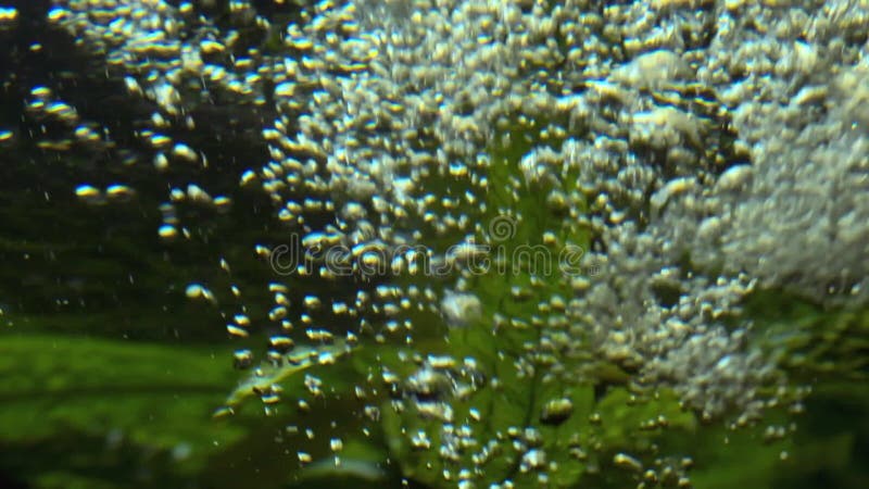 Beautiful Motion through the Underwater Bubbles Cloud Stock Video ...