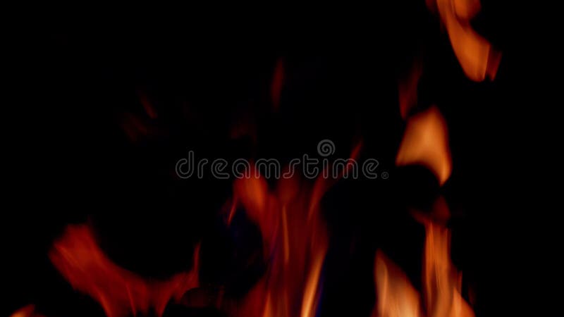 Beautiful Motion of Vivid Fire Flame. Realistic Fire Flame Stock Video ...