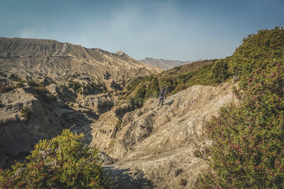 Beautiful Mount Bromo East Java, Mount Semeru in Java, Indonesia, Gate ...
