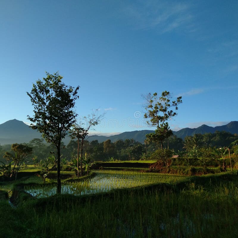 The Beautiful of Mount Salak Stock Photo - Image of beautiful, mount ...