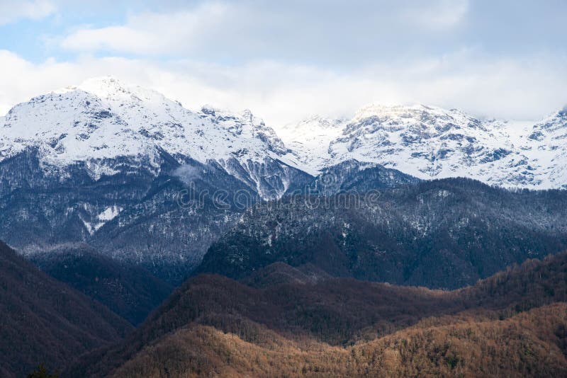 Beautiful Mountain Cover with Snow at the Peak in Front of with Pine ...