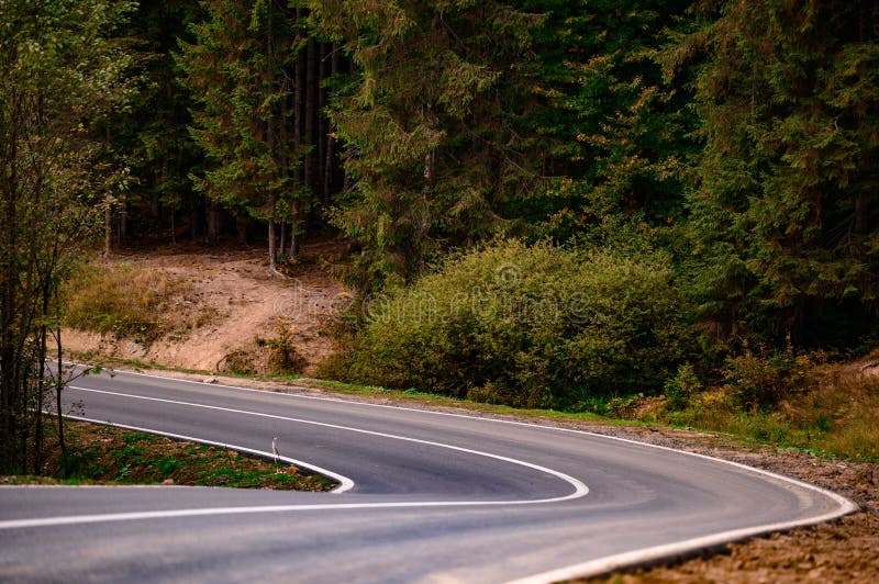 Beautiful Mountain Curved Road in the Forest, Landscape with an Empty ...