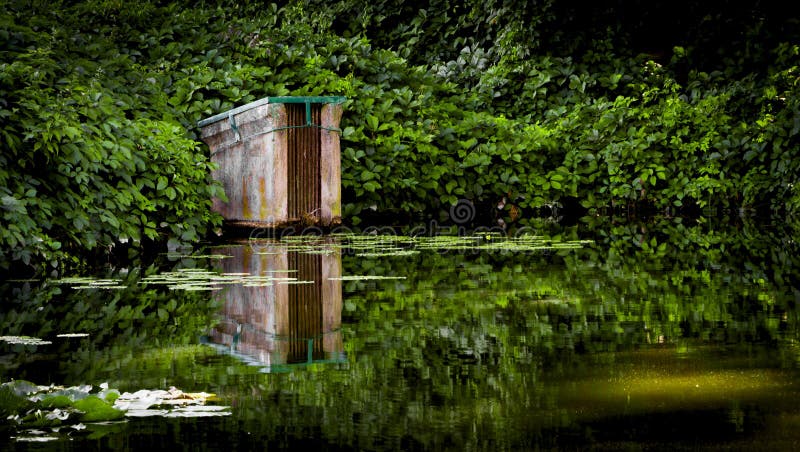 Beautiful Mountain Forest Stream, with Reflection in Water Stock Photo ...