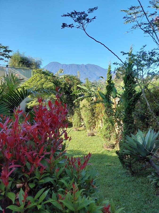 Mountain Gede Pangrango from Indonesia Stock Photo - Image of hill ...