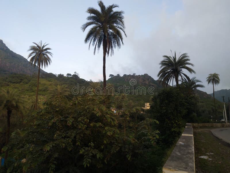 Nature stock image. Image of green, tree, mountain, nature - 141162521