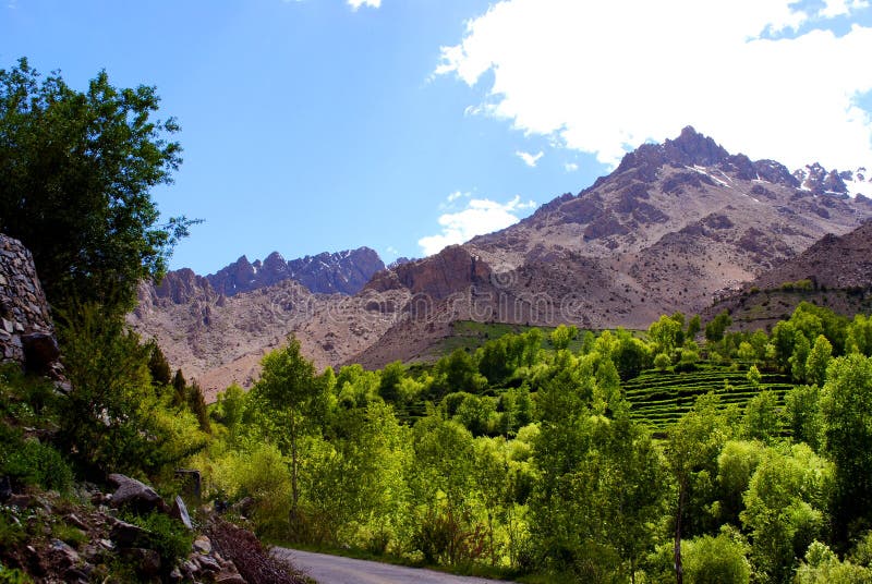 Beautiful Mountain Greenery Stock Image - Image of superb, spot: 1330075