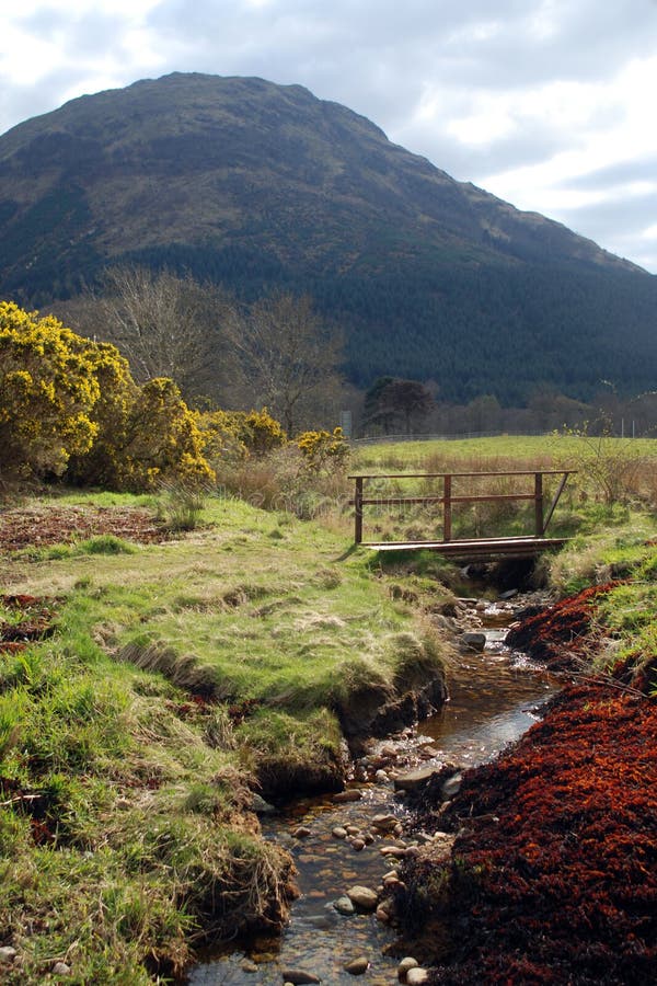 Beautiful Mountain Landscape Stock Image - Image of natural, bush: 4971591