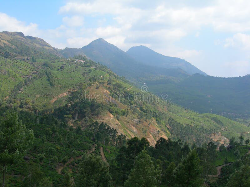 Beautiful Mountain Landscape at Munnar Stock Photo - Image of munnar ...