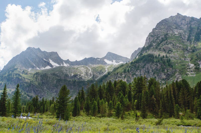 Beautiful Mountain Landscape with Trees and Mountain Peaks Stock Photo ...