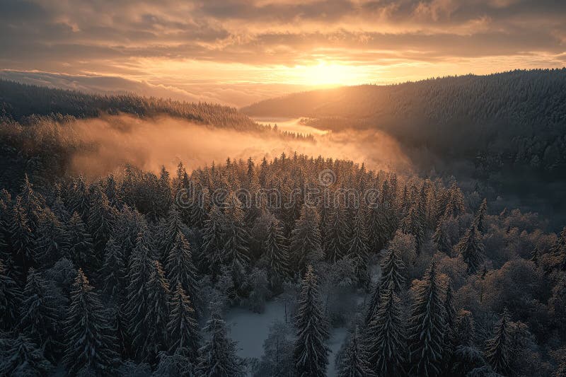 Beautiful Mountain Range with a Large Forest in the Foreground Stock ...
