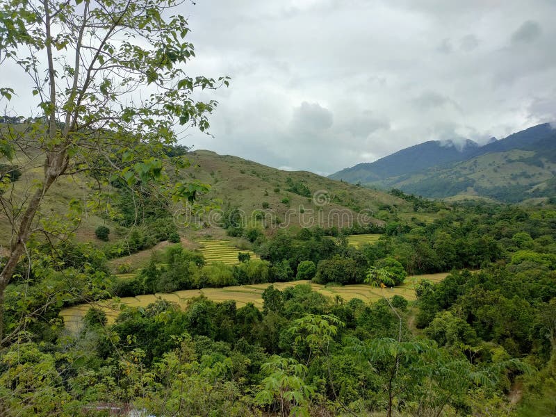Beautiful Mountain and Rice Field at Caranglan Stock Photo - Image of ...