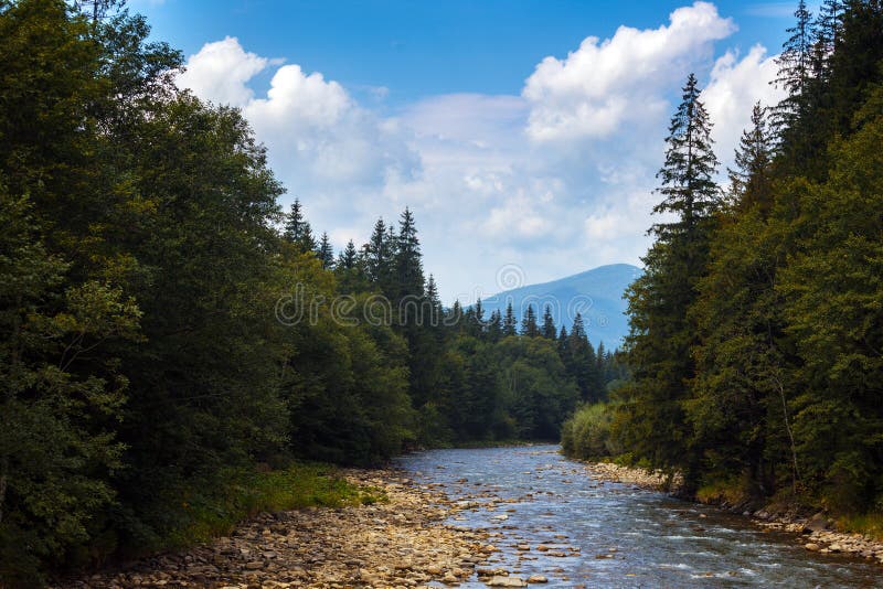 Mountain river source stock photo. Image of source, wilderness - 7651026