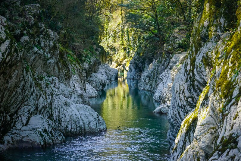 Beautiful Mountain River in the Gorge Stock Photo - Image of landscape ...