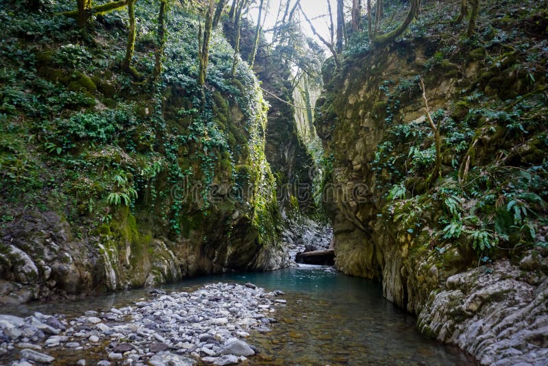 Beautiful Mountain River in the Gorge Stock Photo - Image of landscape ...