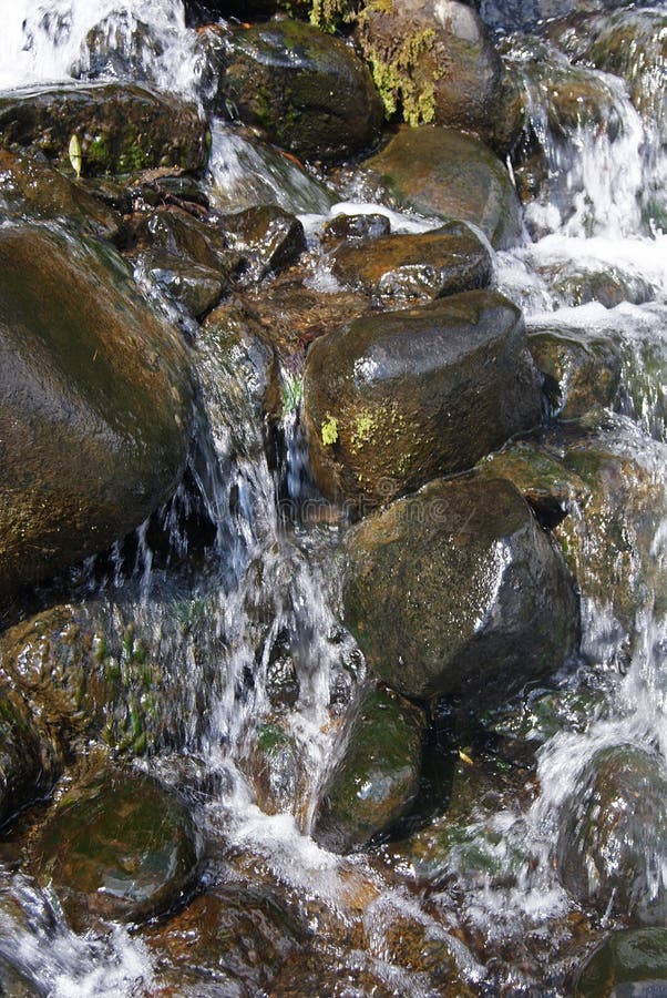 Water Flowing Over the Rocks Stock Photo - Image of waterfall, tree ...