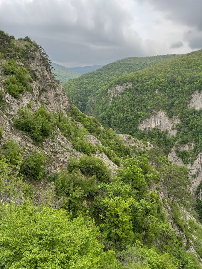 Beautiful Mountain Scenery and Green Forest from the Top of the Cliff ...
