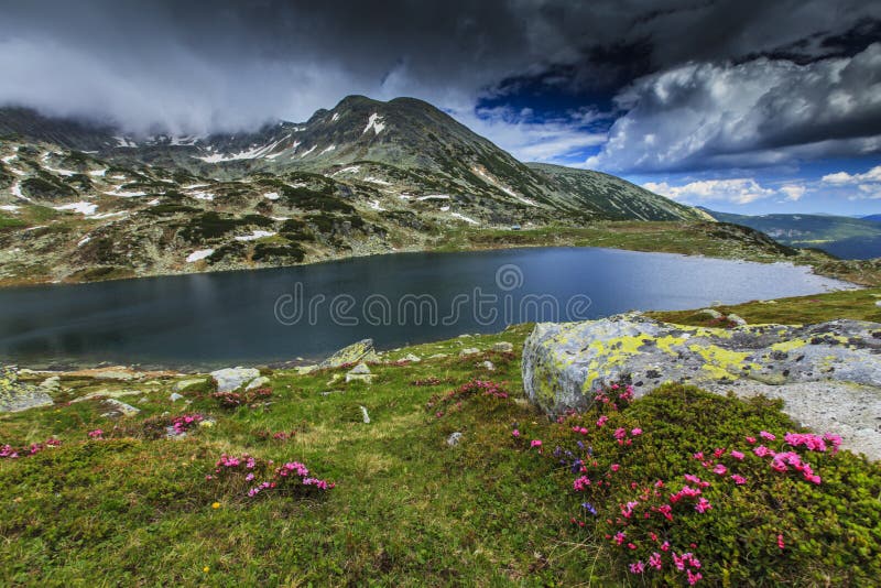 Beautiful Mountain Scenery in Summer Stock Image - Image of freedom ...