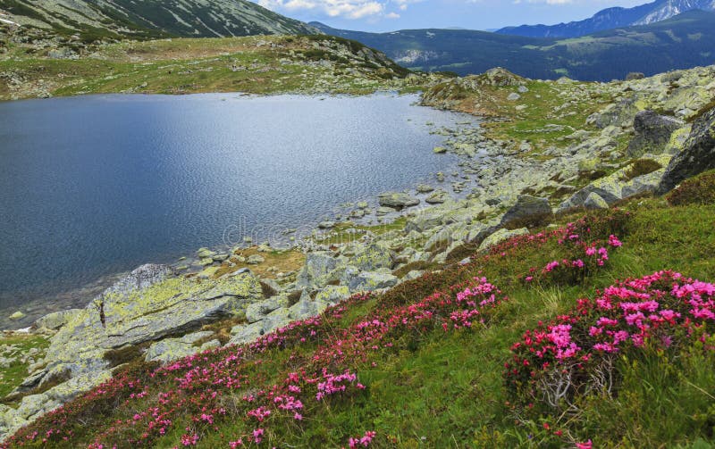 Beautiful Mountain Scenery in Summer Stock Photo - Image of tourism ...