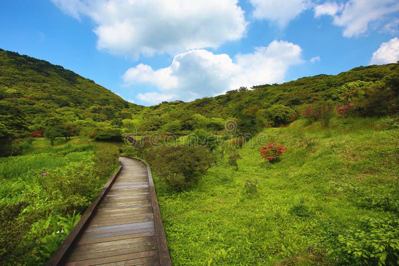 Beautiful Mountain Scenery with Wooden Path and Forest Stock Photo ...