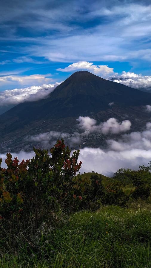 Beautiful Mountain Sindoro stock image. Image of forest - 265810595