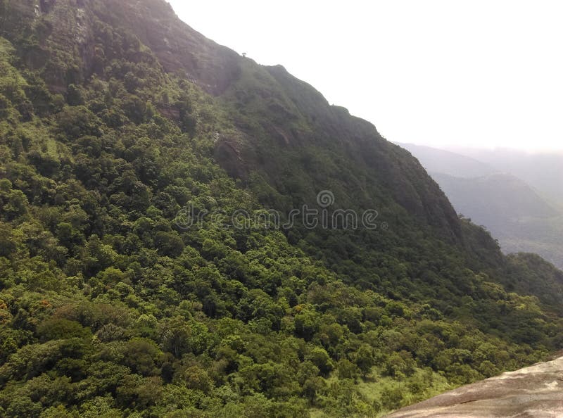Beautiful Mountain Slope and Dense Forest Landscape Stock Image - Image ...
