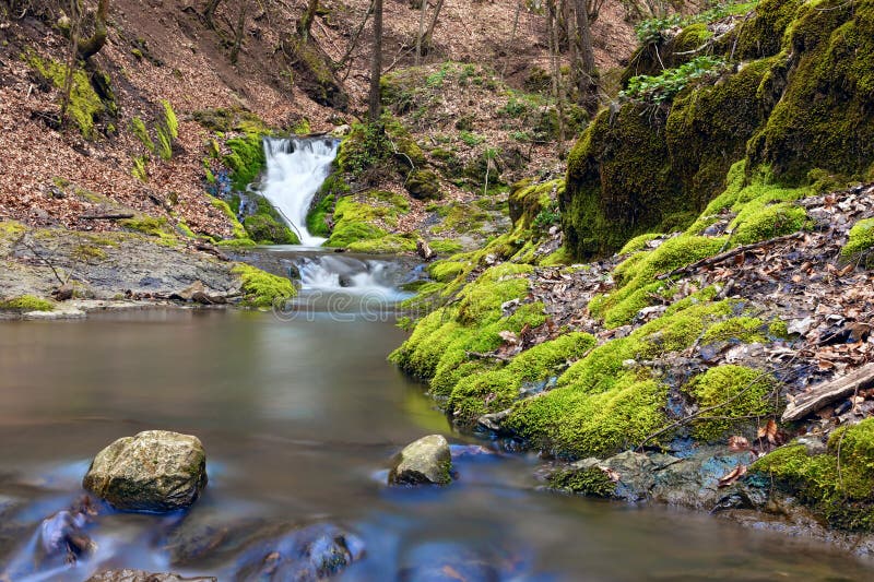 Mountain Stream Over the Rocks Stock Image - Image of beautiful, lush ...