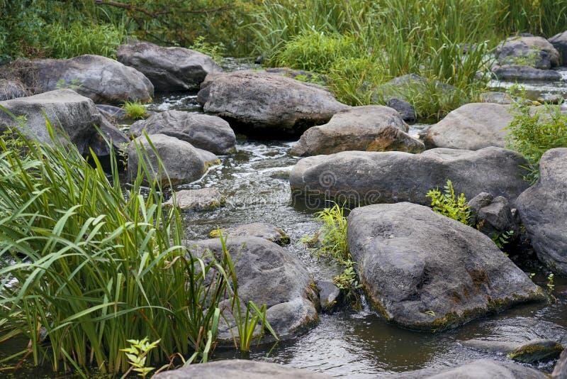 A Beautiful Mountain Stream Flows among Stones and Rocks Stock Image ...