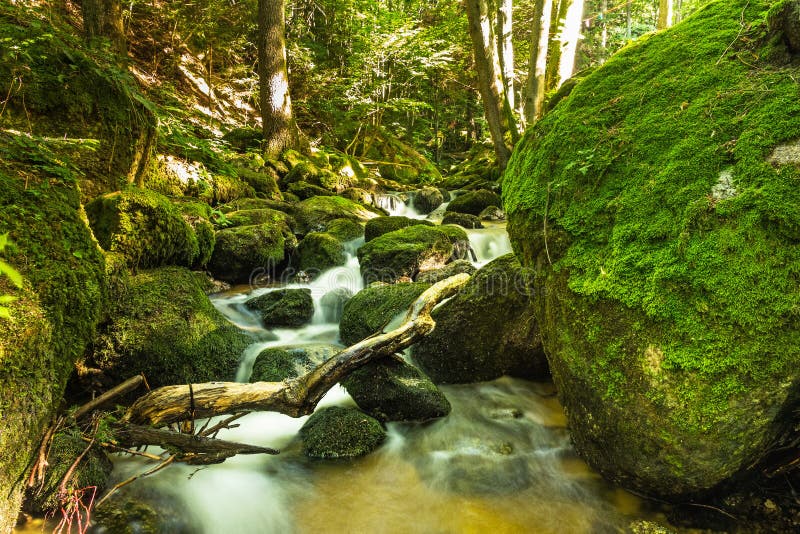 Beautiful Mountain Stream with Moss Covered Stones Stock Photo - Image ...