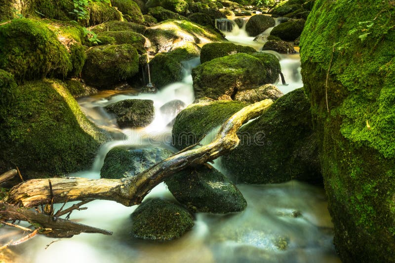 Beautiful Mountain Stream with Moss Covered Stones Stock Photo - Image ...