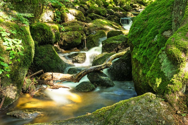 Beautiful Mountain Stream with Moss Covered Stones Stock Photo - Image ...