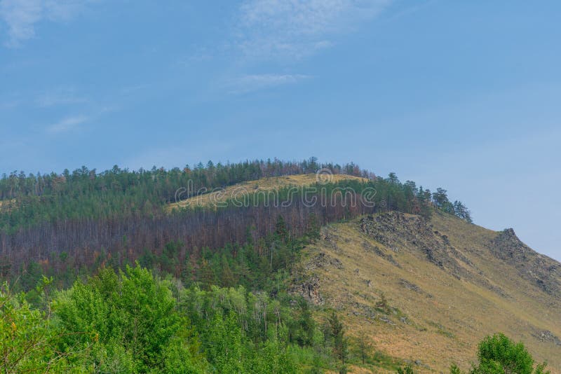 Beautiful Mountain Summer Landscape in the Afternoon Stock Image ...