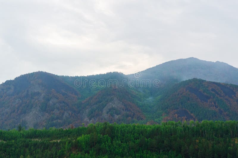 Beautiful Mountain Summer Landscape in the Afternoon Stock Photo ...