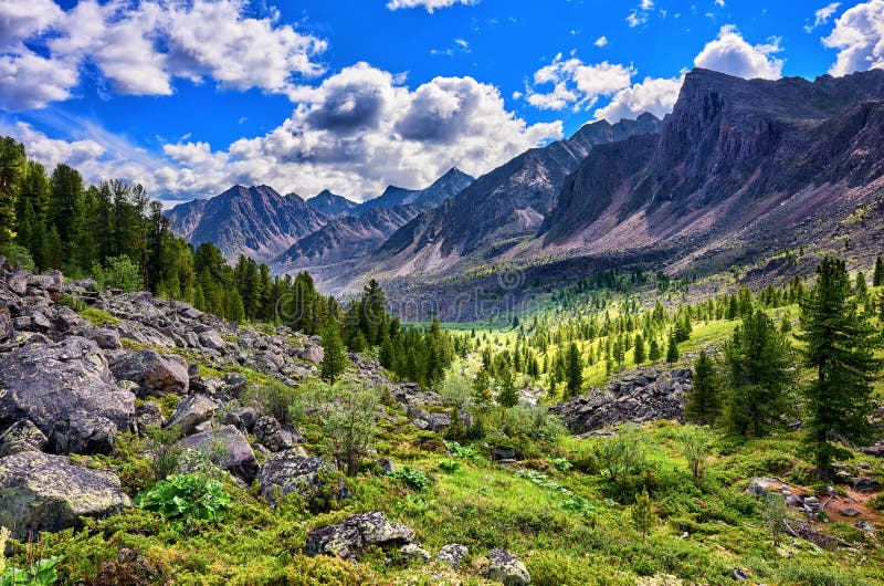 Beautiful Mountain Terrain in Eastern Siberia Stock Photo - Image of environment, green: 66612860