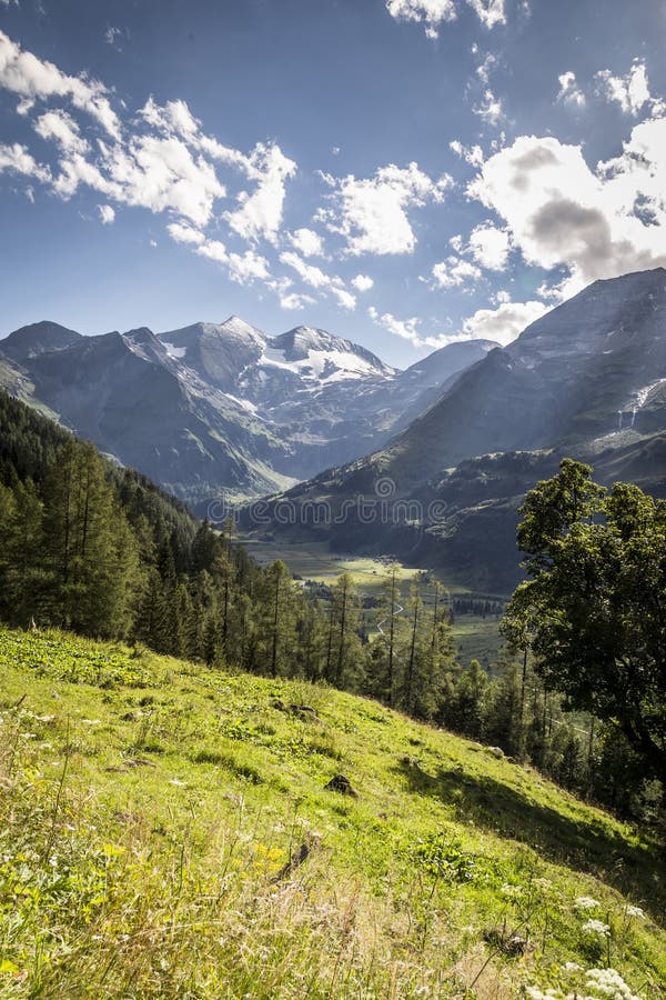 Beautiful mountain valley stock image. Image of topinambur - 82593953