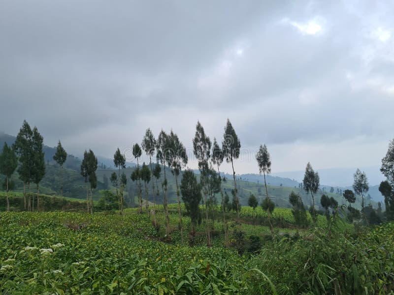 Beautiful Mountain View at Dieng Indonesia Stock Photo - Image of view ...