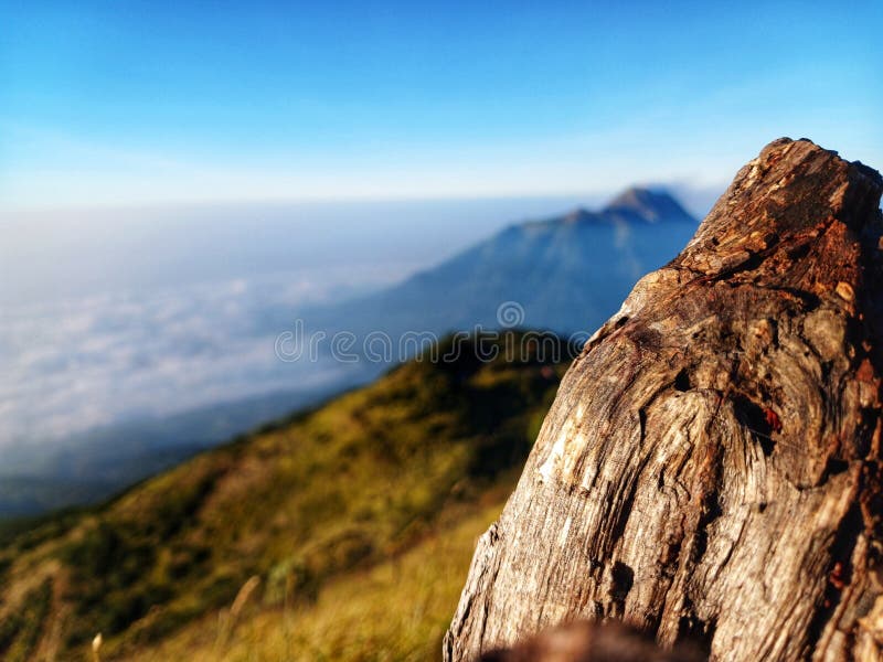 Beautiful Mountain Views from Behind Dry Trees. Landscape Stock Photo ...