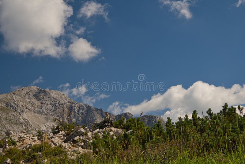 A Beautiful Mountain World with Various Plants Stock Image - Image of ...