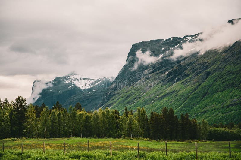 Beautiful Mountainous Landscape with Trees and Greenery Stock Image ...